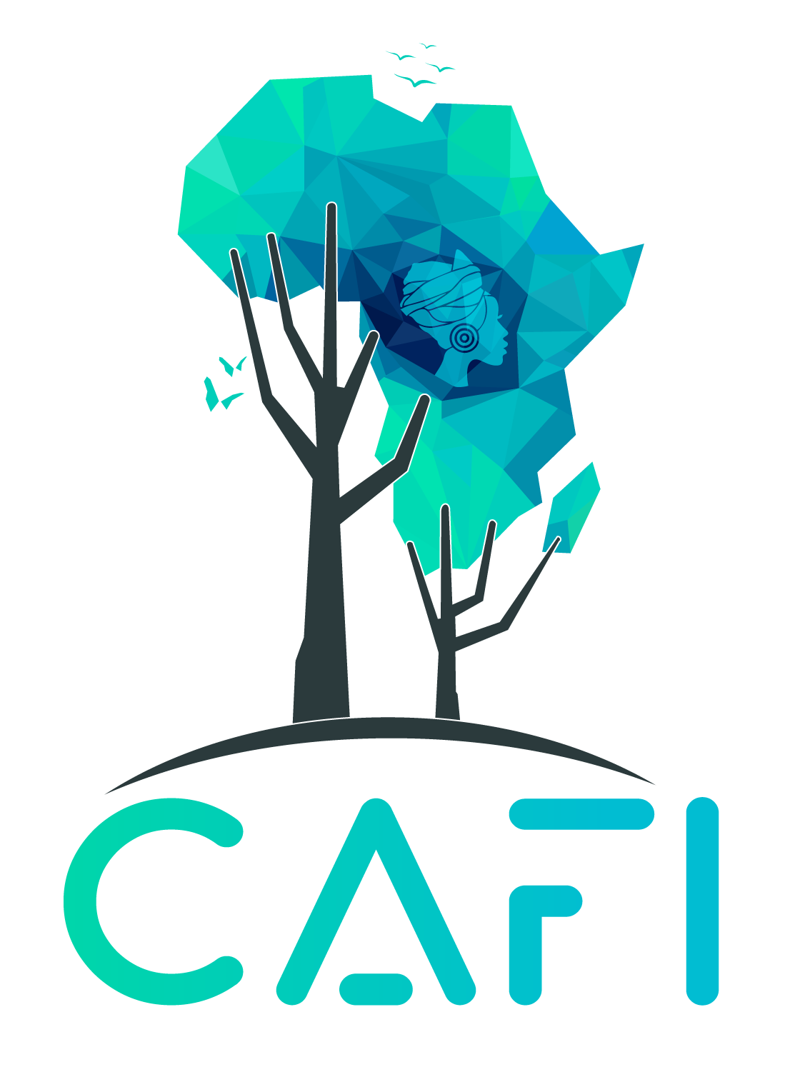 PRO CONGO Catalytic Private Sector Investment In Congo Basin Natural PRO CONGO Catalytic Private Sector Investment In Congo Basin Natural